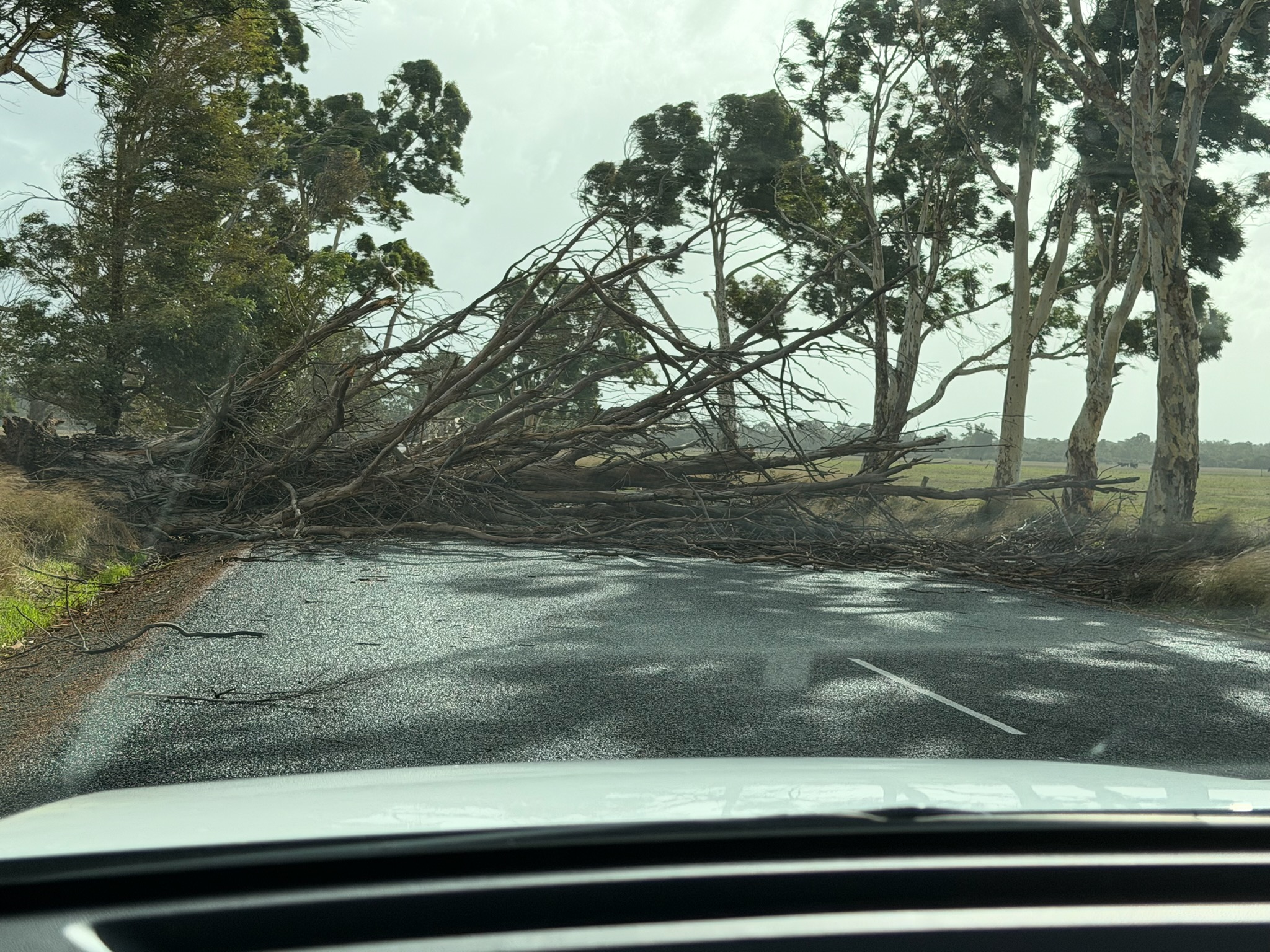 Major storm: news and updates